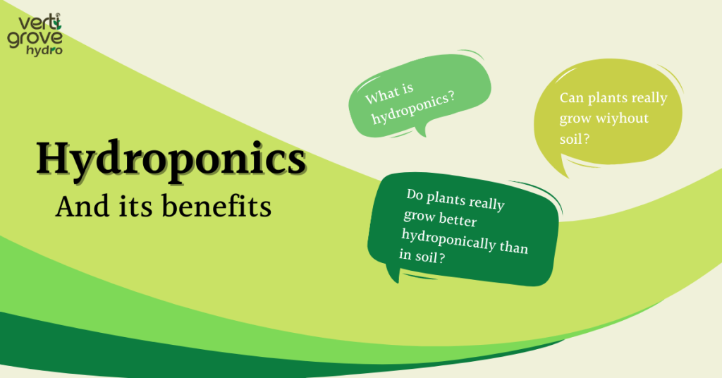 Hydroponics and its Benefits